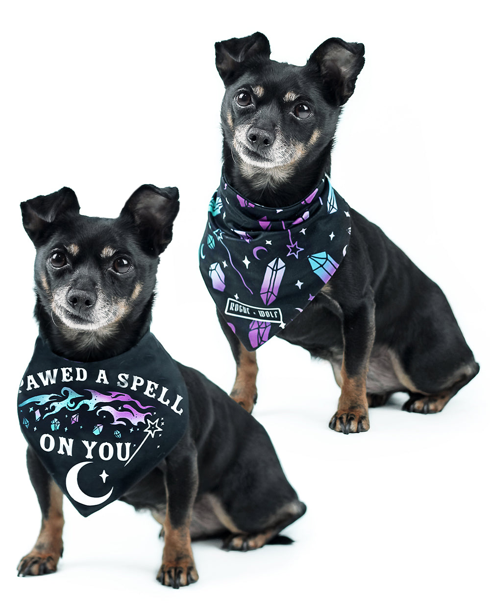 I Pawed a Spell on You Pet Bandana - Dog or Cat – Rogue + Wolf